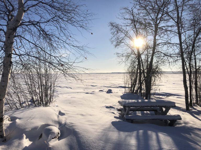 NORTH ARM TERRITORIAL PARK CONCEPTUAL DESIGN - LEES+Associates