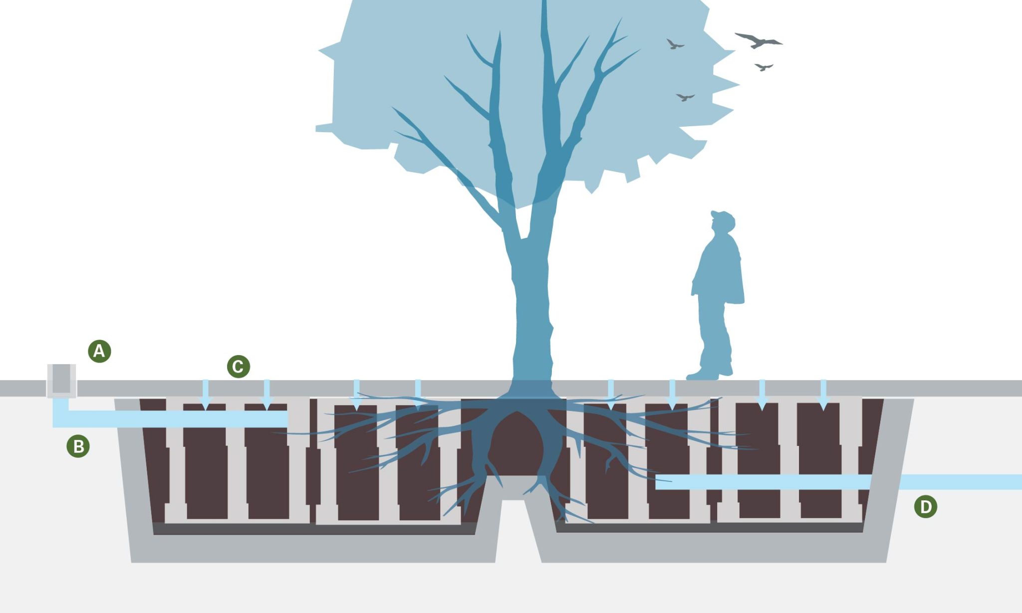 Biodiversity Design Guidelines - LEES+Associates