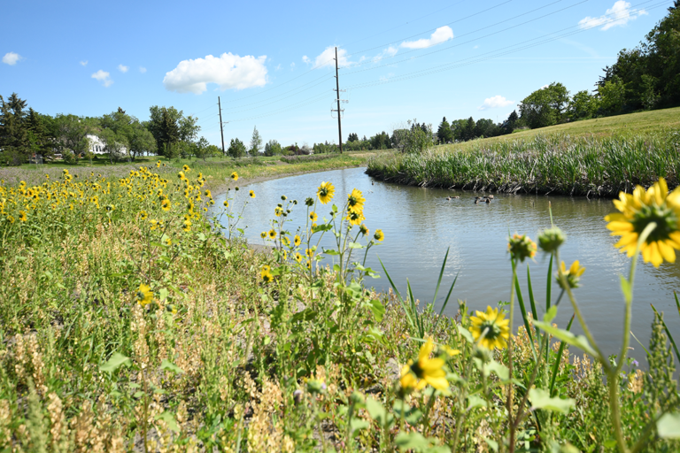 City of Regina Parks Master Plan - LEES+Associates